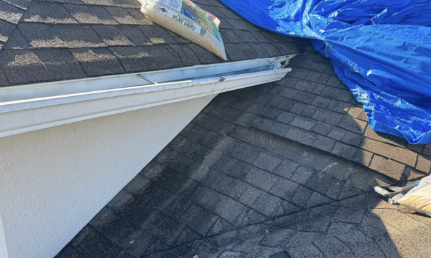 Professional Emergency Roof Tarping Services Near Orlando FL